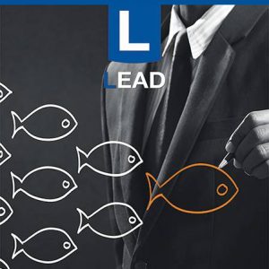 About Us - Angoalissar